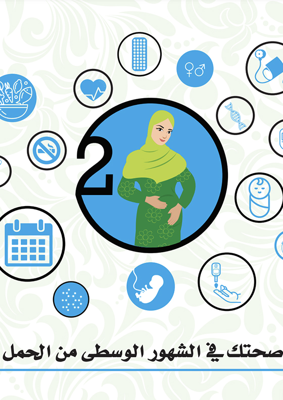 Your health in the middle months of pregnancy